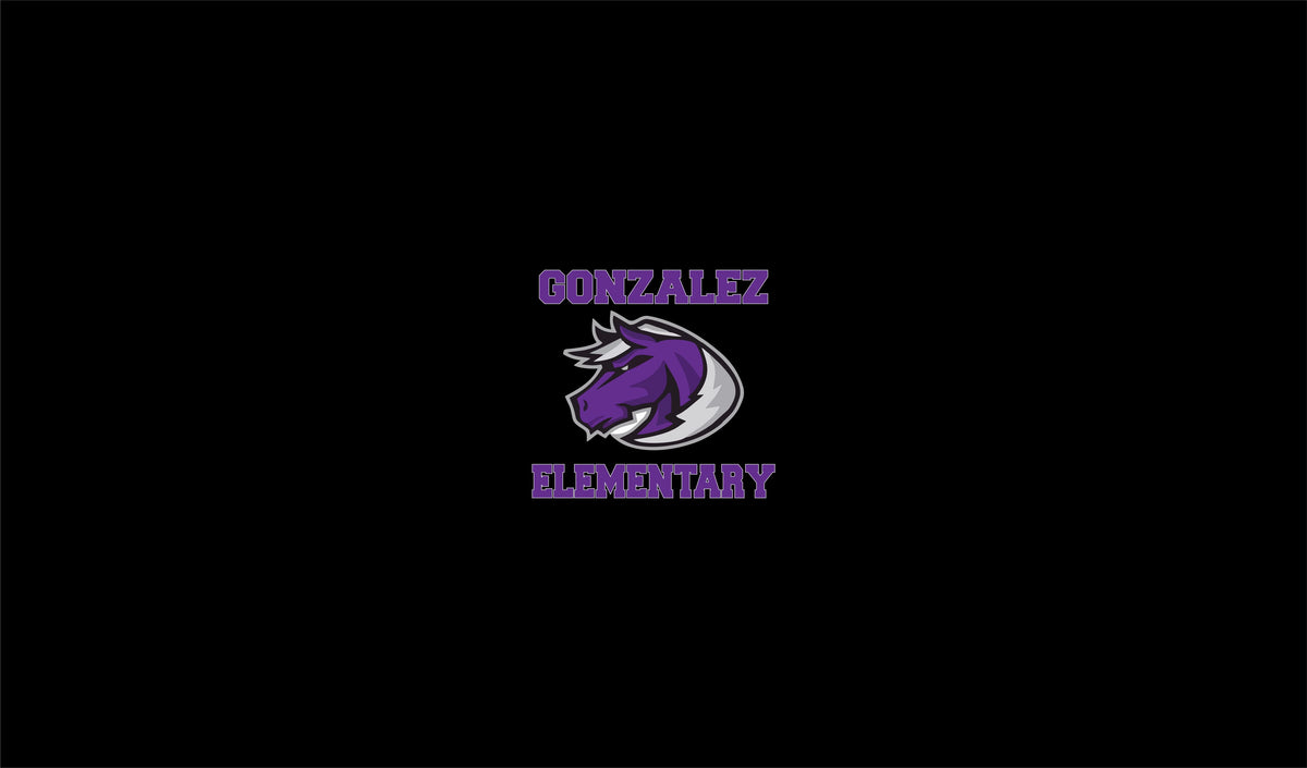 GONZALEZ ELEMENTARY – Fine Custom Design